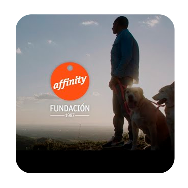 Creando un Protocolo de Actuación para Affinity - Proyectos - Zinkdo